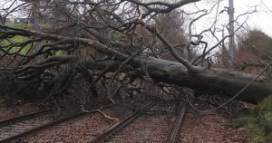 Managing railways and habitats - Network Rail