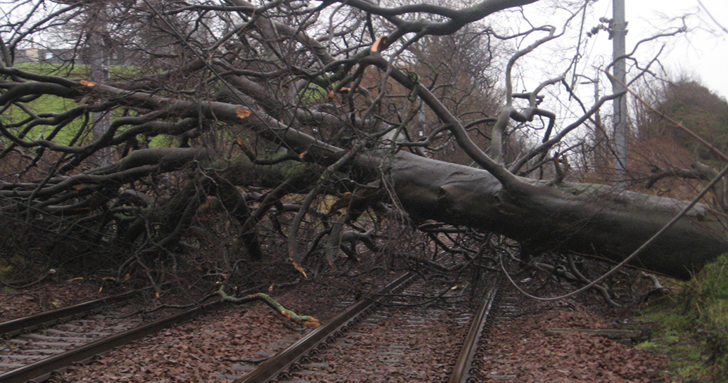 Managing railways and habitats - Network Rail