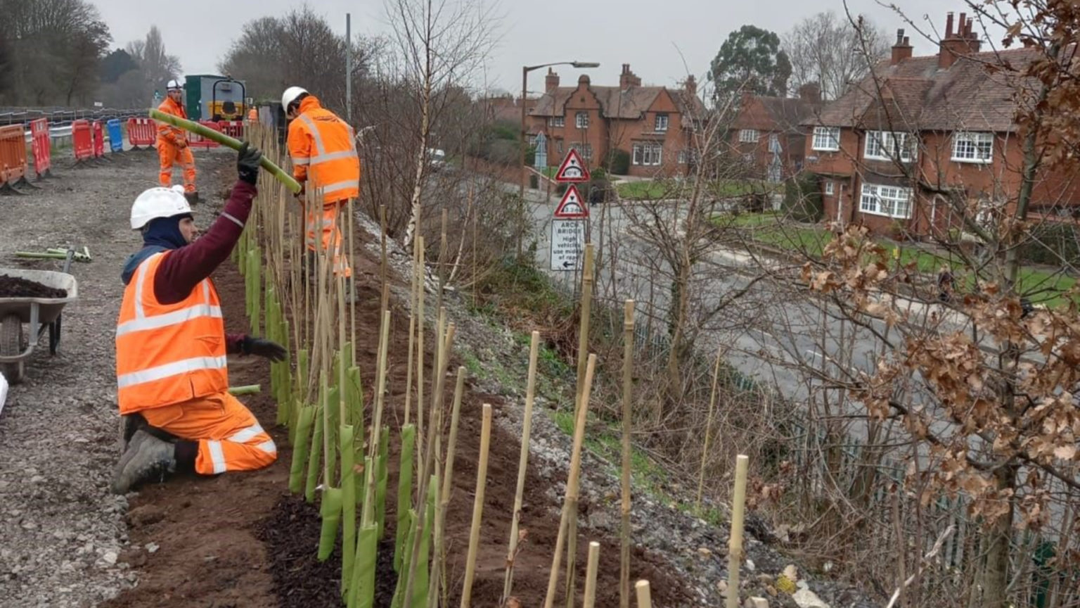 Seven times we improved biodiversity around the railway - Network Rail