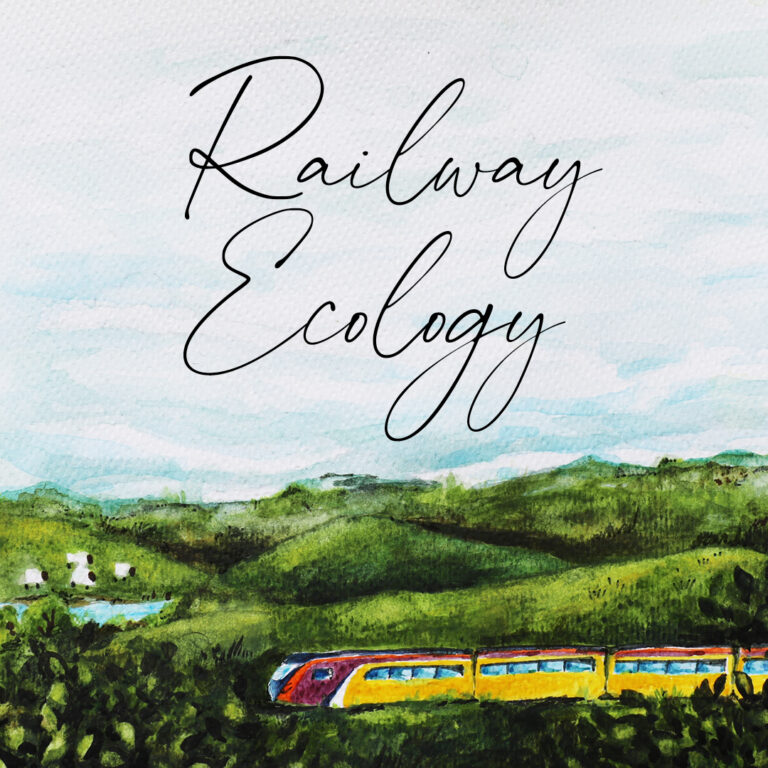 Biodiversity around the railway - Network Rail