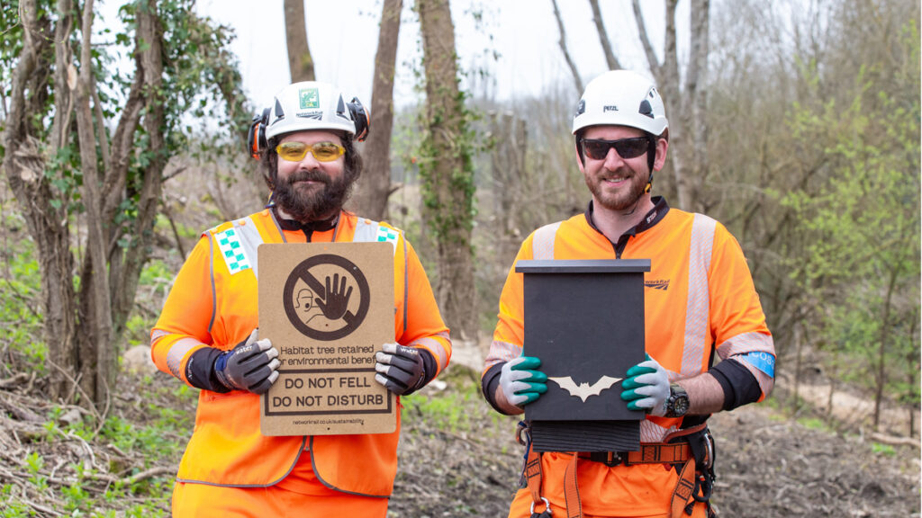 Boosting biodiversity with the help of our trees - Network Rail