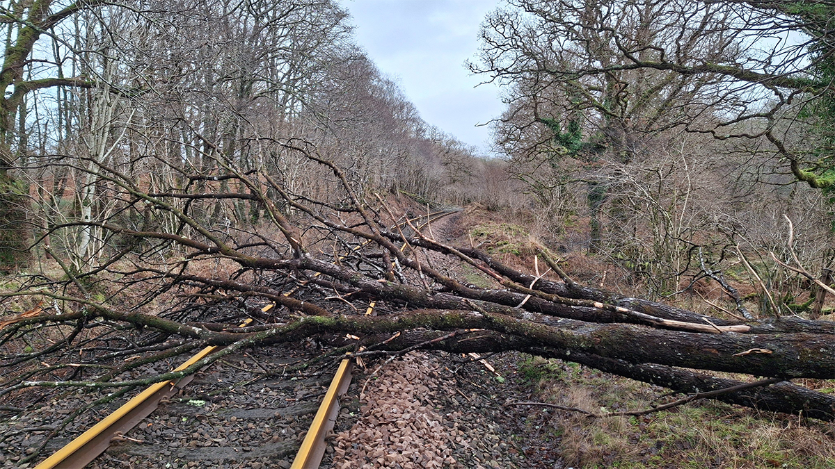Five things that happened on the railway during Storm Éowyn - Network Rail